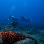 Kauai: Shore Diving at Koloa Landing, Poipu - The Significance of Koloa Landing