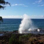 Kauai Shore Excursion - Waimea Canyon Adventure Tour - Nawiliwili - Authentic Experience with a Focus on Comfort and Insight
