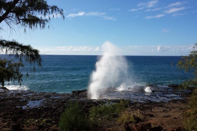 Kauai Shore Excursion - Waimea Canyon Adventure Tour - Nawiliwili - Authentic Experience with a Focus on Comfort and Insight