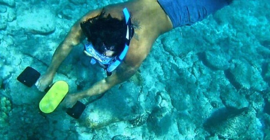 Kauai: Snorkeling Adventure with Sea Scooter - Real Traveler Feedback and Lessons