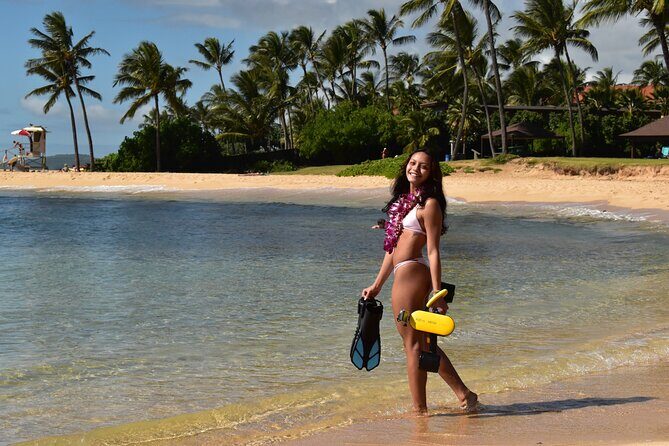 Kauai Snorkeling Adventure - Dive Into the Review Highlights