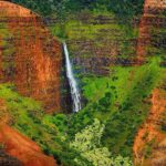 Kauai Waimea Canyon and Koke'e Tour - Final Thoughts: Who is This Tour For?