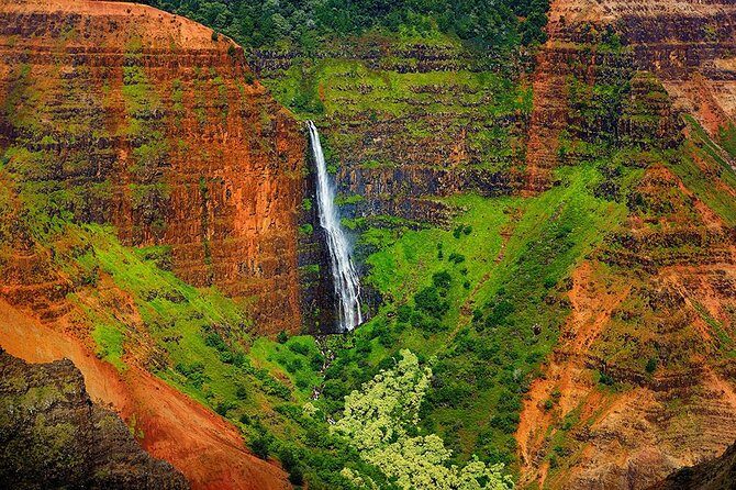 Kauai Waimea Canyon and Koke'e Tour - Final Thoughts: Who is This Tour For?