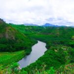 Kauai Waimea Canyon, Wailua River Boat and Fern Grotto Tour - The Sum Up