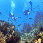 Kauai's Exclusive Morning Scuba Charter for Experienced Divers - FAQ