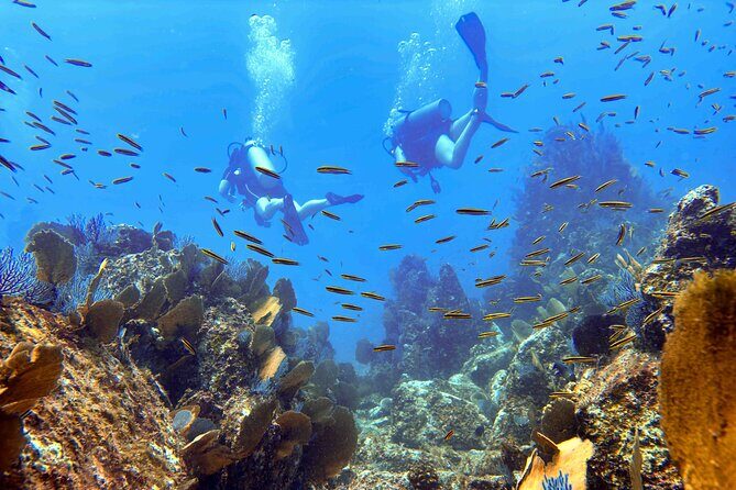 Kauai's Exclusive Morning Scuba Charter for Experienced Divers - FAQ