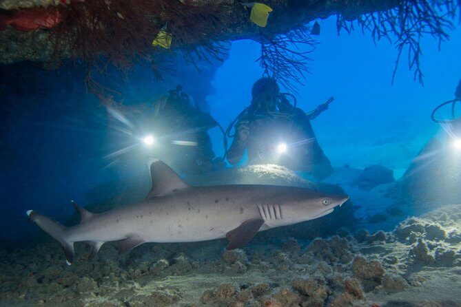 Kauai's Ultimate Boat 2 Tank Adventure Dive Certified Divers Only - Breakdown of the Itinerary: What You Can Expect