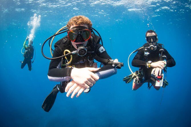 Kauai's Ultimate Discover Scuba Dive - OCEAN EXPERIENCE (1 Tank Dive) - What the Reviews Tell Us
