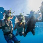 Kauai's Ultimate Guided Shore Snorkel (NO BOAT): North Anini - The Itinerary: What Your 1.5 Hours Looks Like