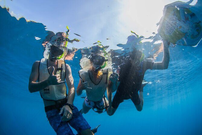Kauai's Ultimate Guided Shore Snorkel (NO BOAT): North Anini - The Itinerary: What Your 1.5 Hours Looks Like