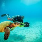 Kauai's Ultimate Scooter Adventure 2 Tank Dive (Advance Certified Divers Only) - Authentic Marine Encounters and Expert Guidance