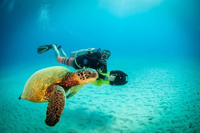 Kauai's Ultimate Scooter Adventure 2 Tank Dive (Advance Certified Divers Only) - Authentic Marine Encounters and Expert Guidance