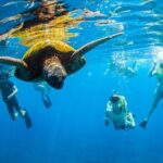 Kauai's Ultimate South Island Zodiac Boat Snorkel Adventure - Introduction to Kauai’s Zodiac Snorkeling Tour