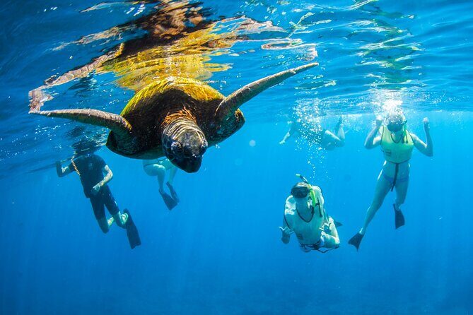 Kauai's Ultimate South Island Zodiac Boat Snorkel Adventure - Introduction to Kauai’s Zodiac Snorkeling Tour