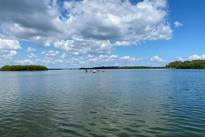 Kayak Adventure at Shell Key Preserve in Tierra Verde - Breaking Down the Itinerary