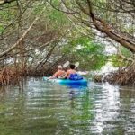 Kayak Adventure of Shell Key Preserve & Island with a Local - The Group & Practicalities