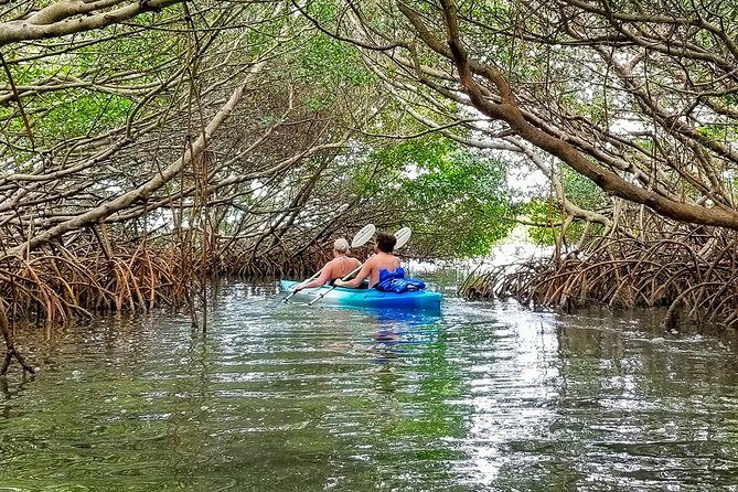 Kayak Adventure of Shell Key Preserve & Island with a Local - The Group & Practicalities