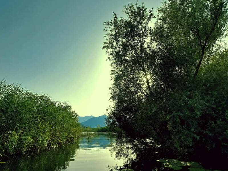 Kayak Adventure: Paddle your way through Lake Skadar - What to Expect: A Step-by-step Breakdown
