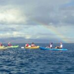 Kayak and Snorkel West Maui at Olowalu - Authentic Experiences and Honest Feedback
