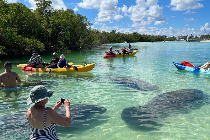 Kayak and SUP Rentals - Big Hickory Island - Fort Myers Beach, FL - Who Will Love This Experience?