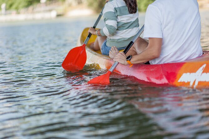 Kayak Guided Tours - FAQs