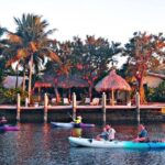 Kayak Rental: Explore Mangroves and Self-Navigated River Eco Paddle - Key Points