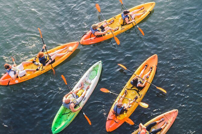 Kayak Rentals on Lady Bird Lake - The Sum Up: Is This the Right Experience for You?