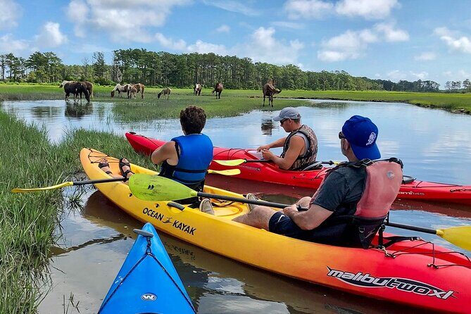 Kayak Tour along Assateague & Chincoteague Island, Virginia - The Practical Details