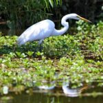 Kayak Tour of Lake James - What to Expect on the Water