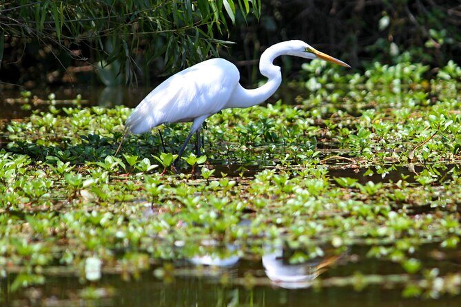 Kayak Tour of Lake James - What to Expect on the Water