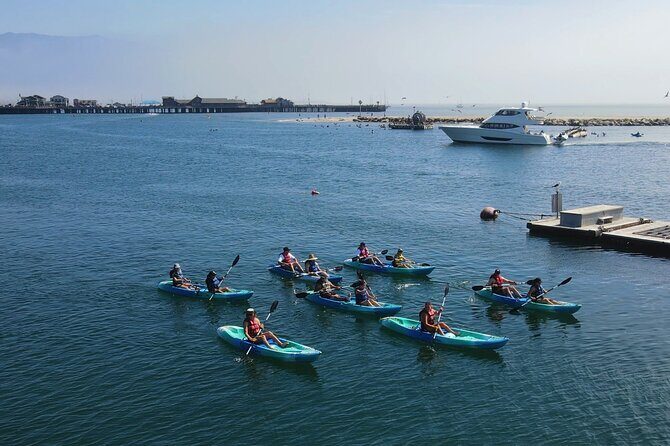 Kayak Tour of Santa Barbara with Experienced Guide - Practical Details and Tips