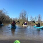 Kayak Tour Of The Honey Island Swamp and Backwaters - A Deep Dive into the Honey Island Swamp Kayak Tour