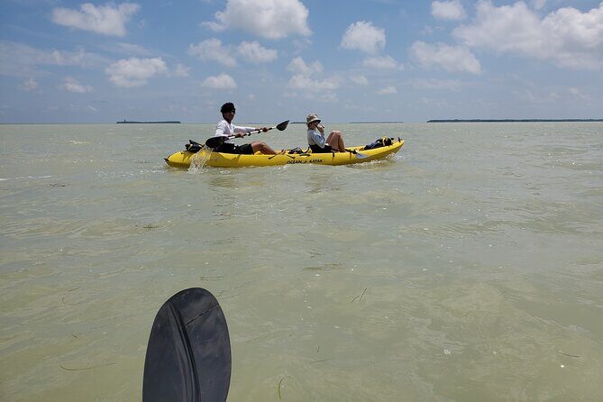 Kayak Trip, 1 Wet Hike + 2 dry hikes in Everglades National Park - Who Will Love This Tour?