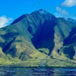 Kayak, Whale Watch, and Snorkel With Optional Photo and Video - The Fine Print: Details for Planning Your Trip