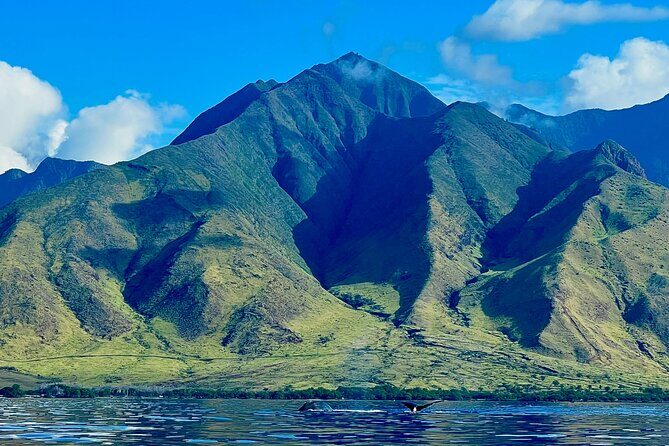 Kayak, Whale Watch, and Snorkel With Optional Photo and Video - The Fine Print: Details for Planning Your Trip