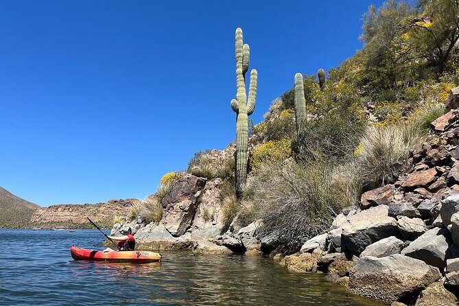 Kayaking 3 Hr Canyon & Cliffside on Saguaro Lake - The Authentic Experience: What Makes It Stand Out