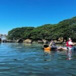 Kayaking Clear through Clearwater - Is This Tour Worth the Price?