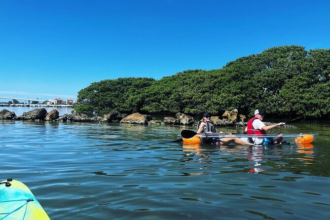 Kayaking Clear through Clearwater - Is This Tour Worth the Price?