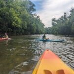 Kayaking on the Roanoke River - Safety, Requirements, and Practical Tips