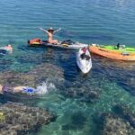 Kayaking with Sea Lions in a Calm Beautiful Harbor - Who Should Book This Tour?