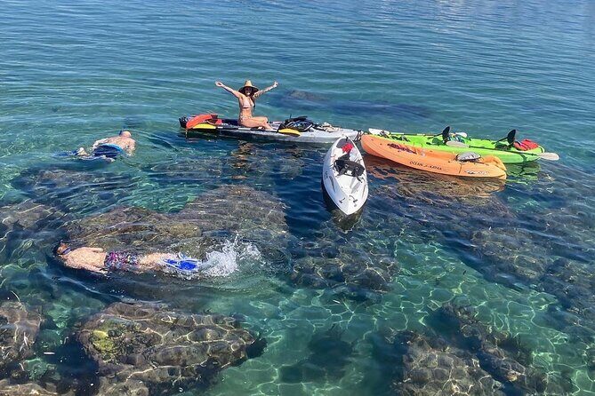 Kayaking with Sea Lions in a Calm Beautiful Harbor - Who Should Book This Tour?