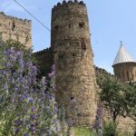 Kazbegi Day Trip (Jinvali, Ananuri, Gudauri, Gergeti church) - Pasanauri: The Meeting of Two Rivers
