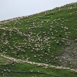 Kazbegi & Gudauri Private Full-Day Tour From Tbilisi - Practical Details & Considerations