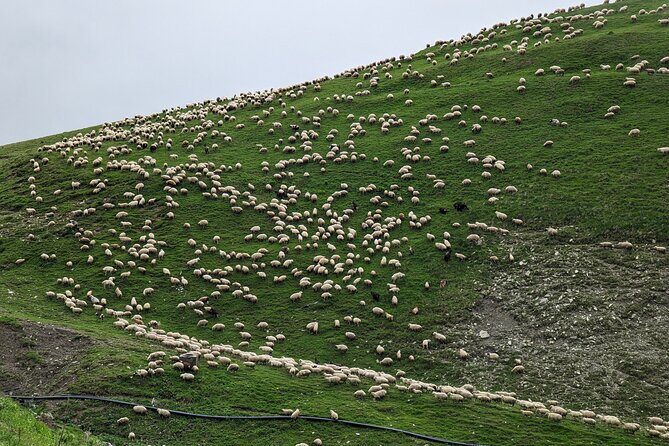 Kazbegi & Gudauri Private Full-Day Tour From Tbilisi - Practical Details & Considerations