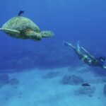 Kealakekua Bay Snorkel & Dolphin Watch In Kona - Navigating the Itinerary