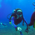 Kemer Scuba Diving with Expert Diving Option - The Value of the Tour: Price, Equipment, and Experience