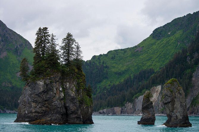 Kenai Fjords and Resurrection Bay Half-Day Wildlife Cruise - Practical Tips for Travelers
