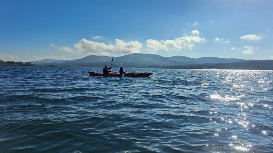 Kenmare Bay: Guided Kayaking Tour - No Wetsuits Required. - FAQ