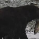 Ketchikan Alaska private tour - Transportation & Practicalities