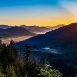 Ketchikan Backcountry Driving Tour Through the Tongass - What to Expect from the Itinerary